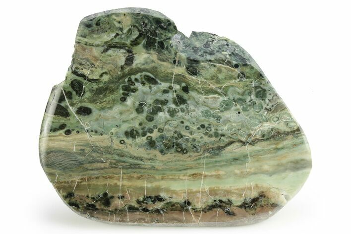 5.1" Jasper Replaced Petrified Wood Slice - Oregon (#248684) For Sale ...