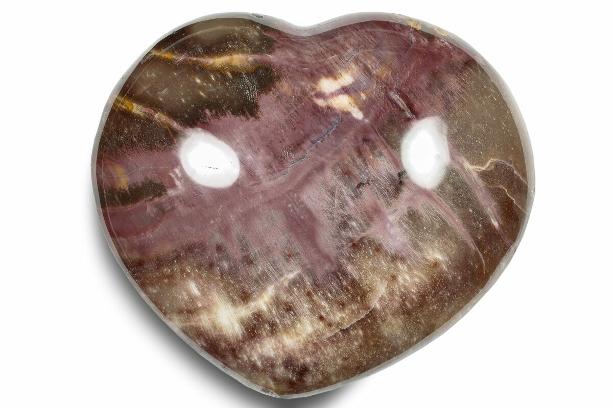 3.2" Polished Triassic Petrified Wood Heart - Madagascar (#249176) For ...