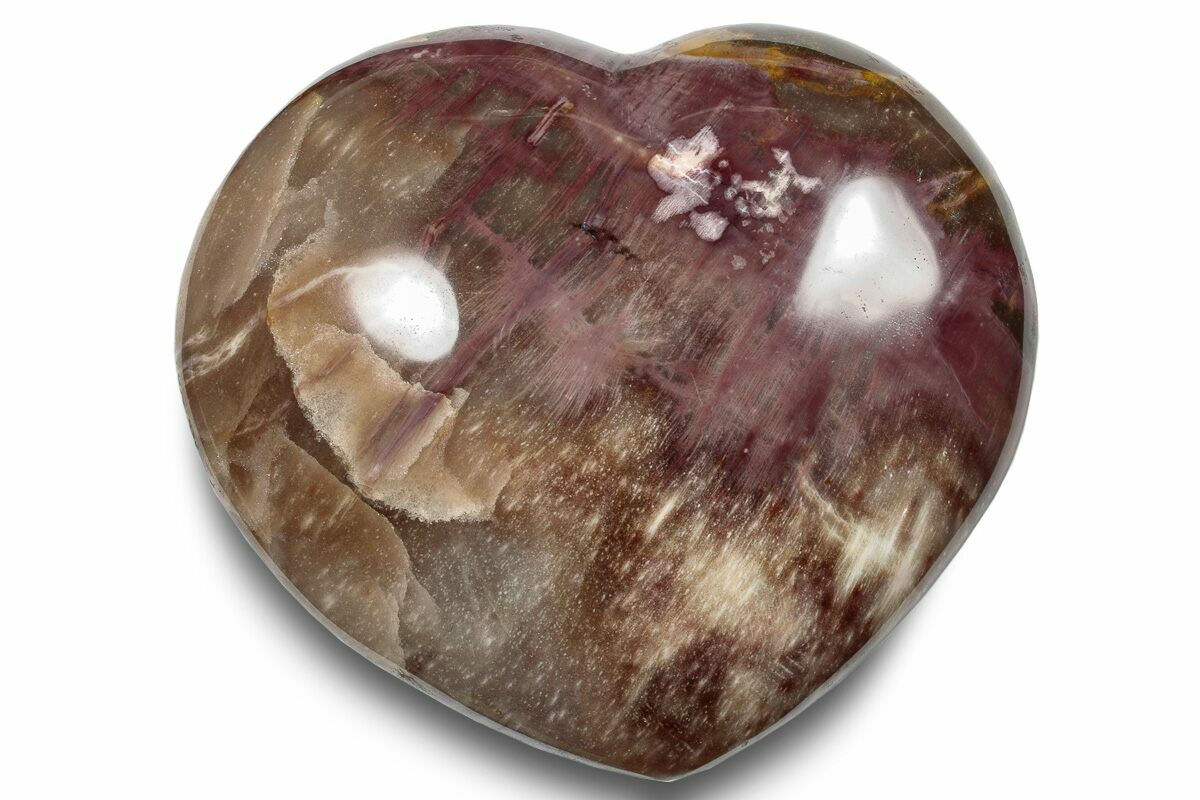 3.2" Polished Triassic Petrified Wood Heart - Madagascar (#249176) For ...