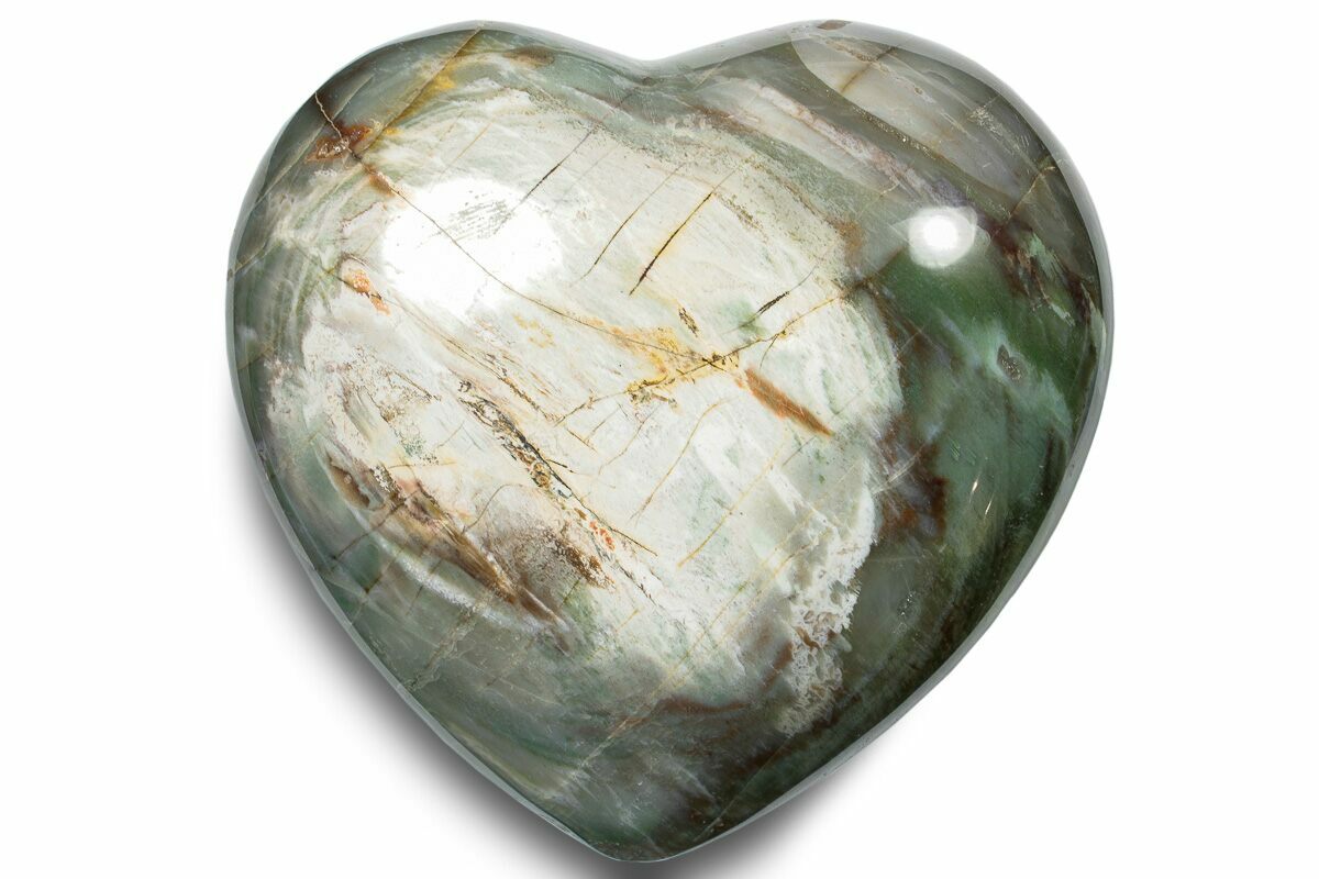 3.4" Polished Triassic Petrified Wood Heart - Madagascar (#249177) For ...