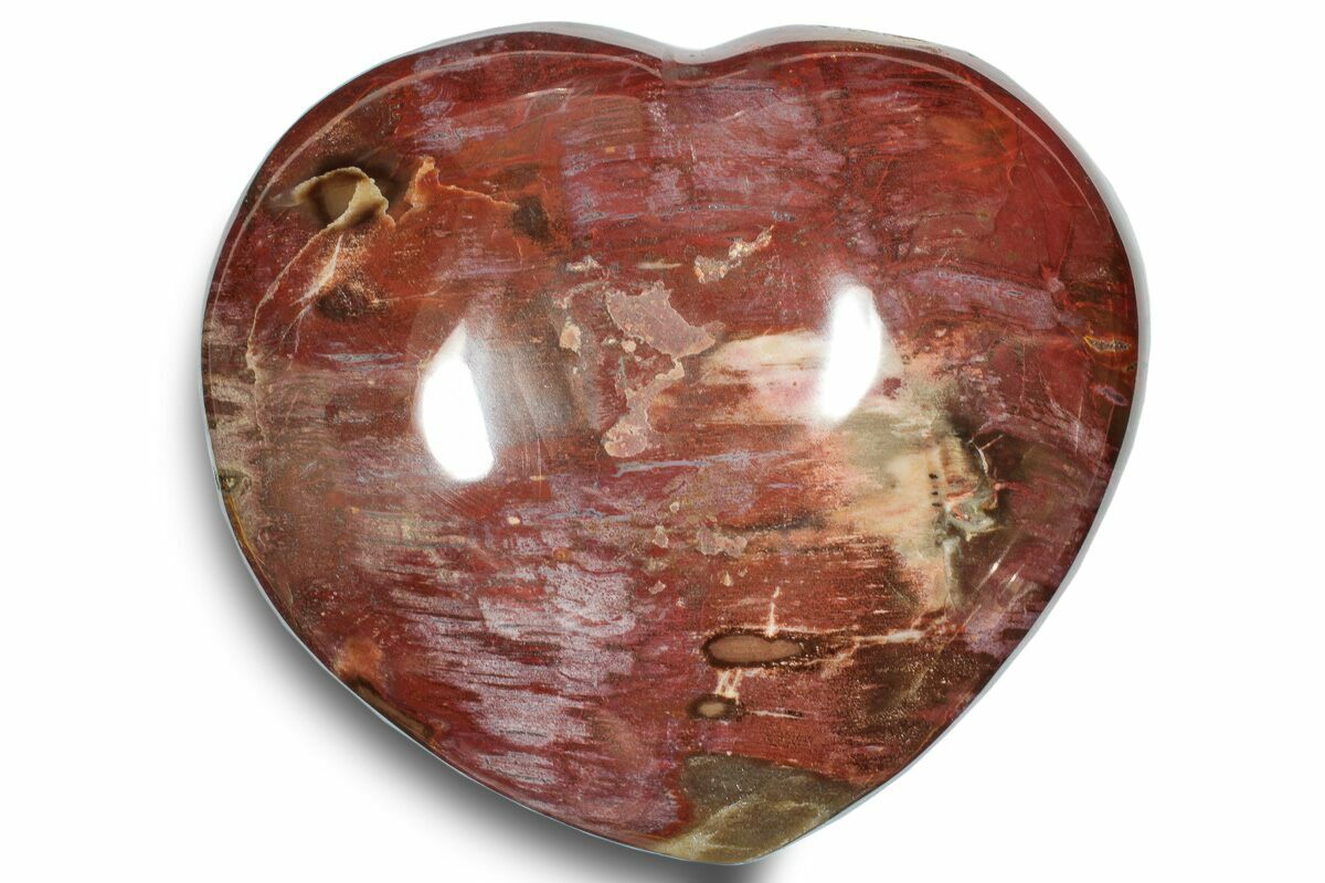4.1" Polished Triassic Petrified Wood Heart - Madagascar (#249183) For ...