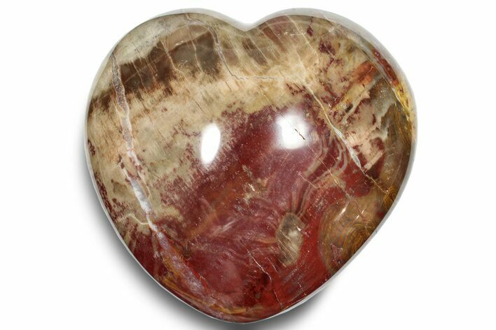 3.4" Polished Triassic Petrified Wood Heart - Madagascar (#249184) For ...