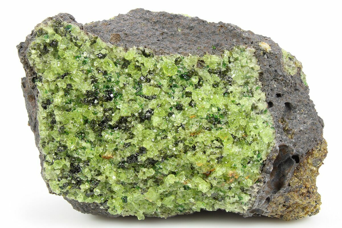 3.9" Peridot in Basalt - Arizona (#253767) For Sale - FossilEra.com