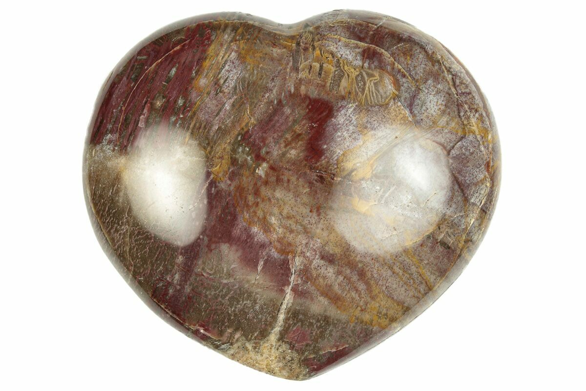 3.1" Polished Triassic Petrified Wood Heart - Madagascar (#249198) For ...