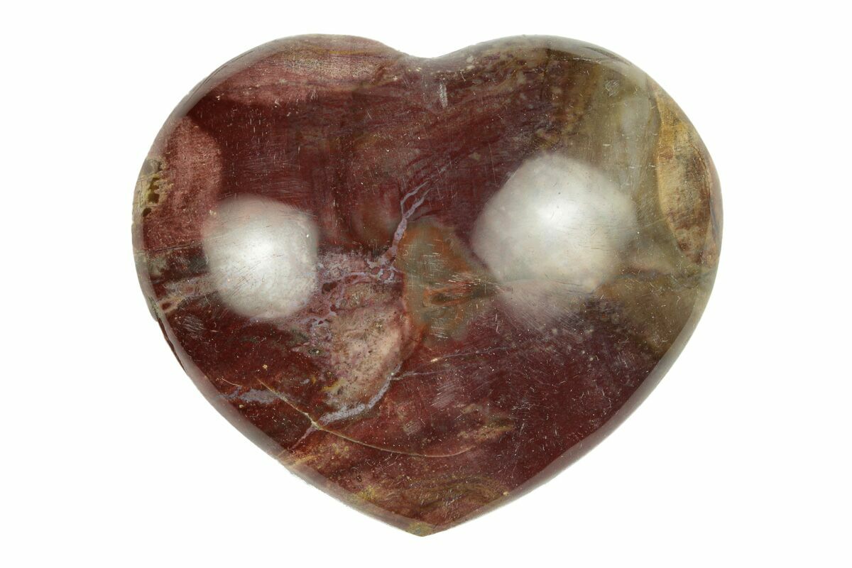 2.8" Polished Triassic Petrified Wood Heart - Madagascar (#249199) For ...