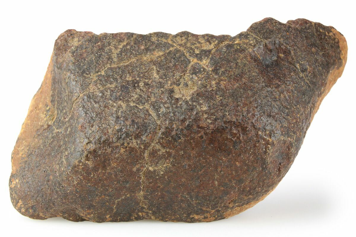 3.25" Chondrite Meteorite (128.7 g) - Unclassified NWA (#256568) For ...