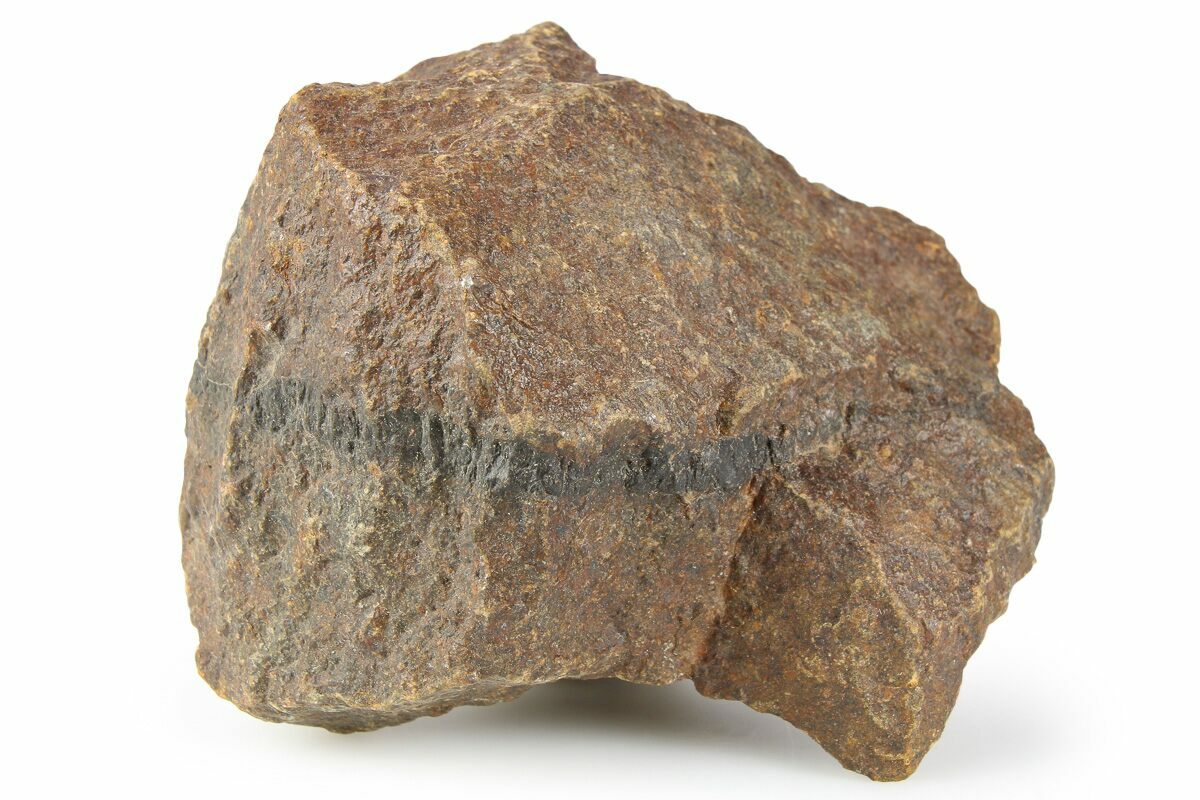 2.35" Chondrite Meteorite (121.3 g) - Unclassified NWA (#256578) For ...