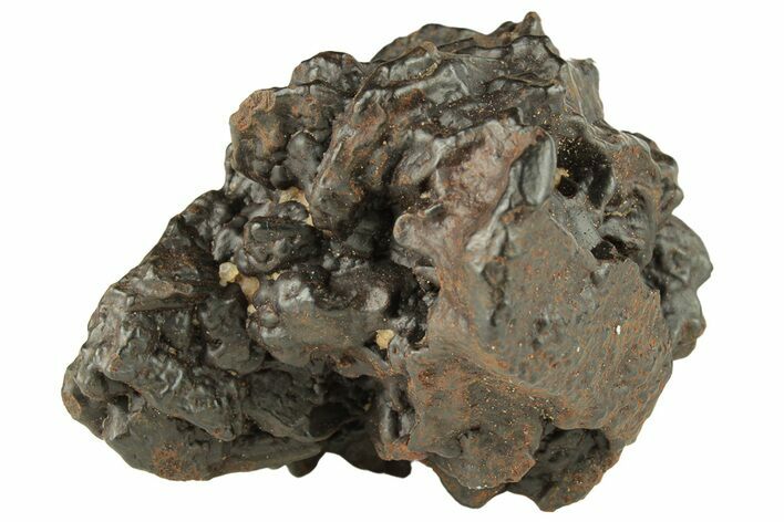 1.7" Goethite (Limonite) Pseudomorph after Marcasite - Egypt (#257297 ...
