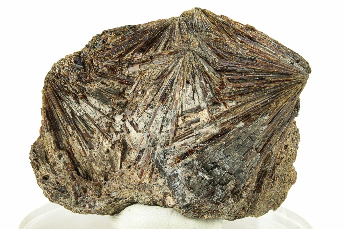 1.4" Lamprophyllite Crystal Aggregations in Matrix - Russia (#257566 ...