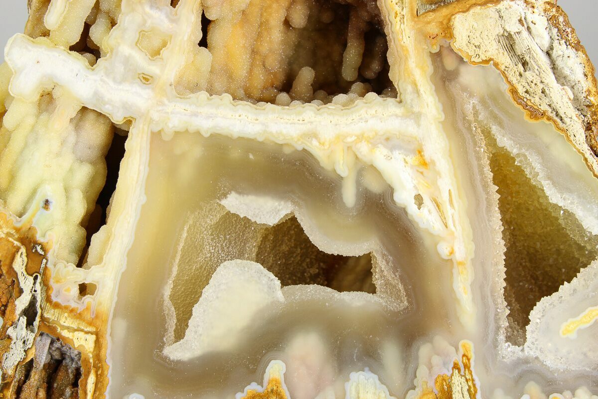 4.5" Agatized Fossil Coral Geode - Florida (#257873) For Sale ...