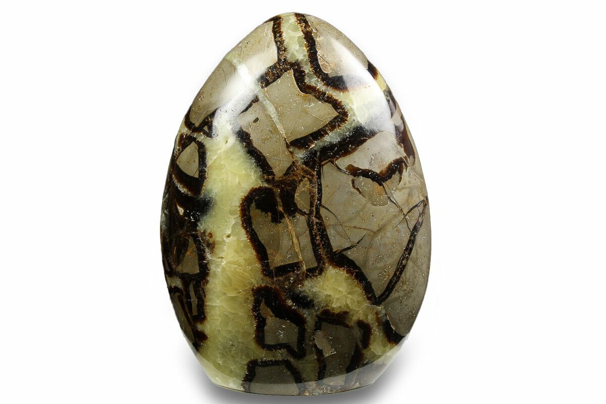5.7" Free-Standing, Polished Septarian - Madagascar (#258639) For Sale ...