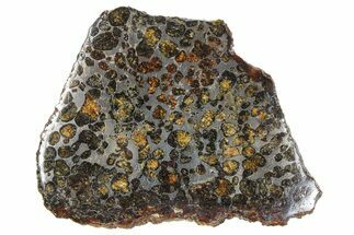 Pallasite Meteorites For Sale - FossilEra.com