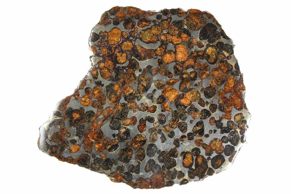 4.3" Polished Sericho Pallasite Meteorite (88 g) Slice - Kenya (#259258 ...