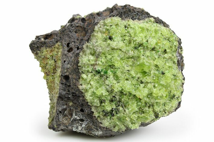 3.65" Peridot in Basalt - Arizona (#259426) For Sale - FossilEra.com