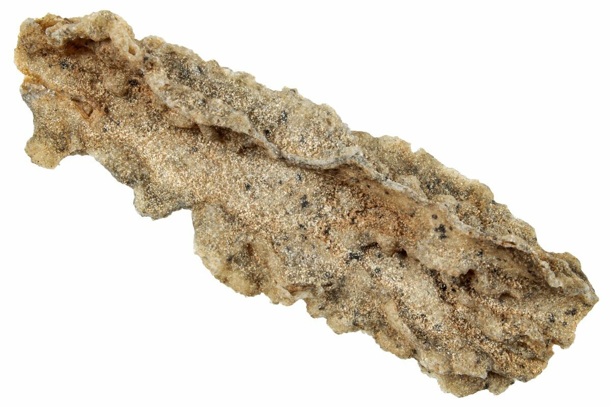 2.65" Fulgurite - "Petrified Lightning" (#260433) For Sale - FossilEra.com