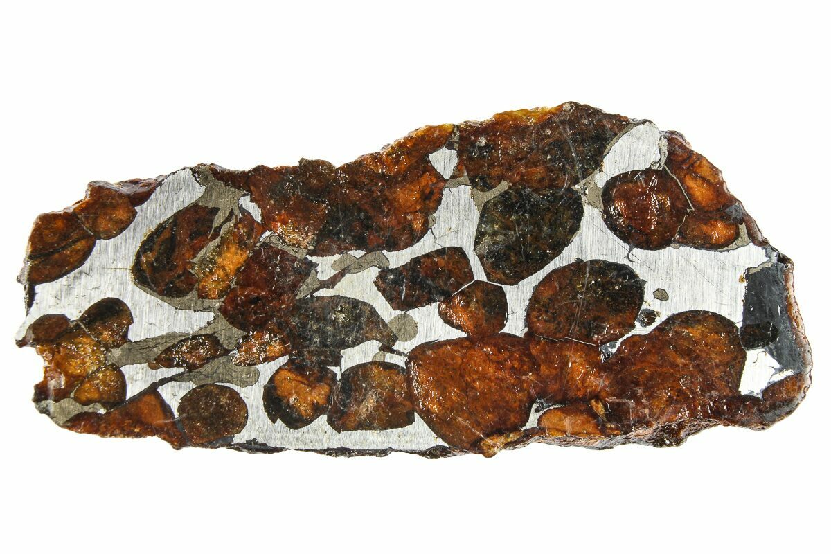 1.8" Polished Sericho Pallasite Meteorite (20.7 g) - Kenya (#262890 ...