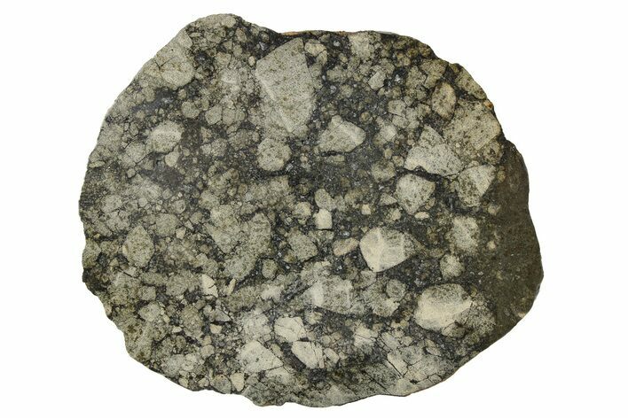 6.85" Eucrite Meteorite (208 g) Slice - From 4 Vesta Minor-Planet ...