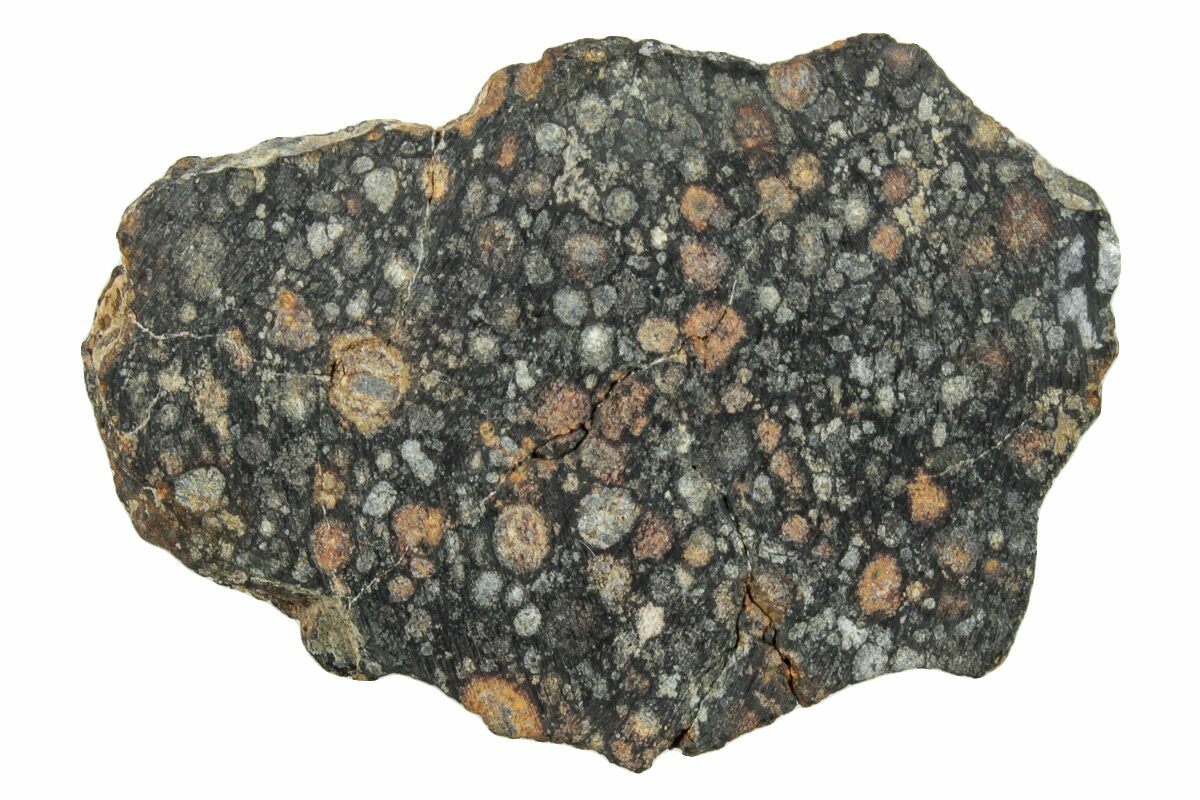 1.28" Chondrite Meteorite Section (6.4 g) - NWA 8160 (#263193) For Sale ...