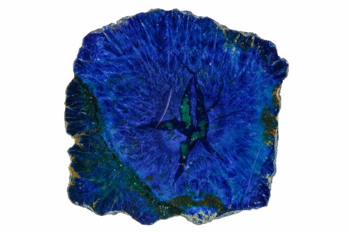1.2" Vivid Blue, Cut/Polished Azurite Nodule - Siberia (#263209) For ...