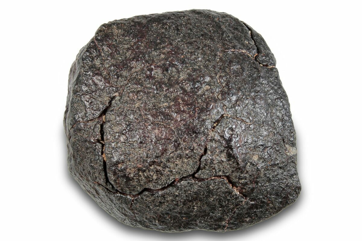 1.18" Fusion Crusted Chondrite Meteorite (20.7 g) - Unclassified NWA ...