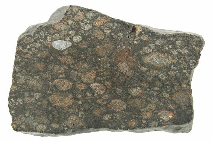 .95" Chondrite Meteorite (3.9 g) Slice - NWA 4502 (#265955) For Sale ...