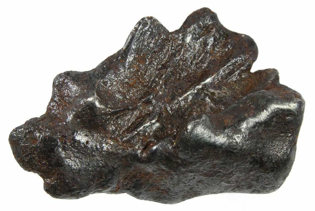 .85" Sikhote-Alin Iron Meteorite (5.3 g) - Regmaglypts! (#266715) For ...