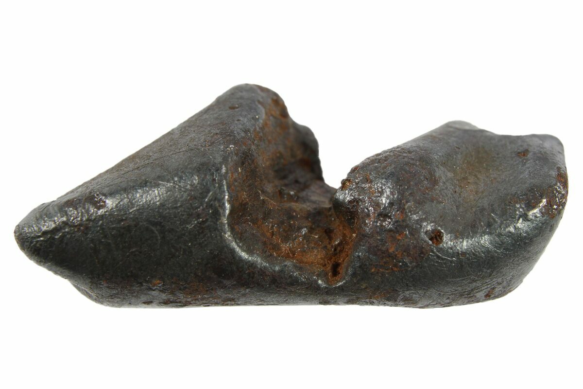 .75" Sikhote-Alin Iron Meteorite (3.7 g) - Russia (#266717) For Sale ...
