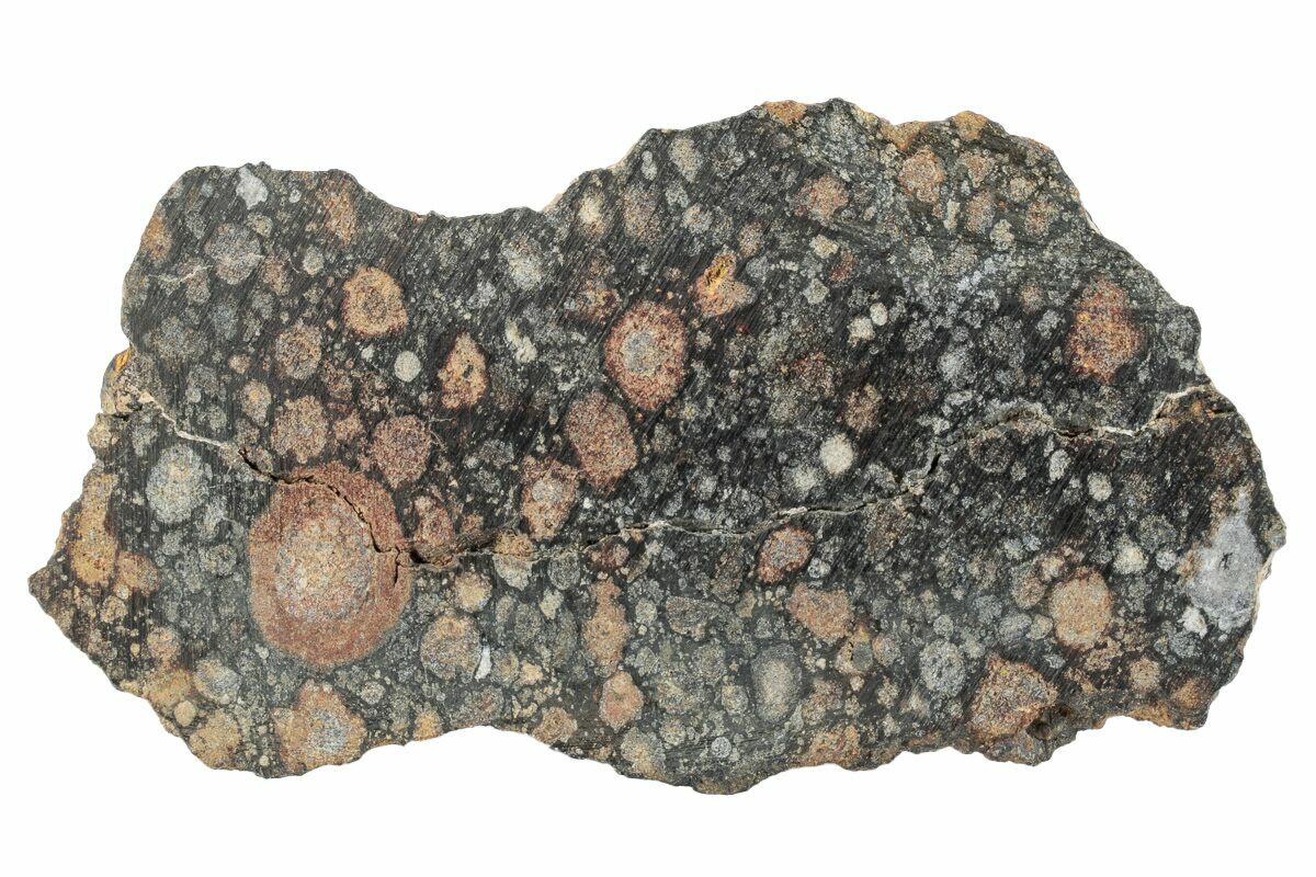 1.31" Chondrite Meteorite Section (5.28 g) - NWA 8160 (#271640) For ...