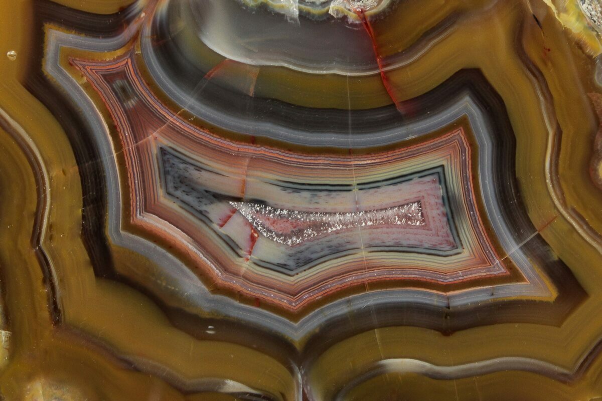 3.8" Colorful, Polished Condor Agate - Argentina (#277721) For Sale ...