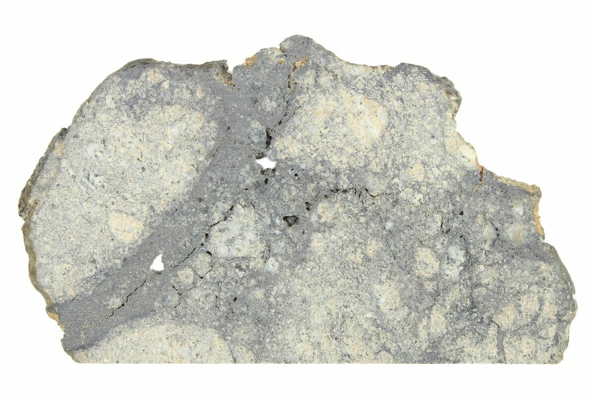 2.51" Eucrite Meteorite Slice (6.48 g) - From 4 Vesta Minor-Planet ...