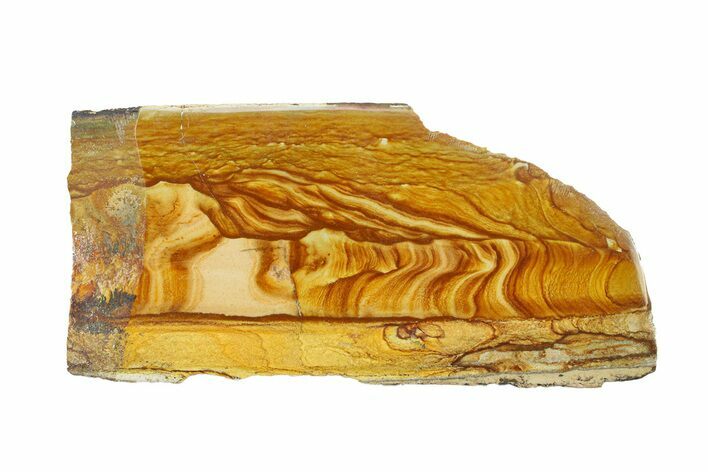 6.1" Polished Golden Picture Jasper Slice - Nevada (#281697) For Sale ...