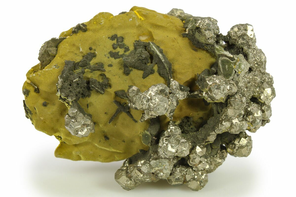 2.1" Golden Pyrite on Limonite Clay - Pakistan (#283722) For Sale ...