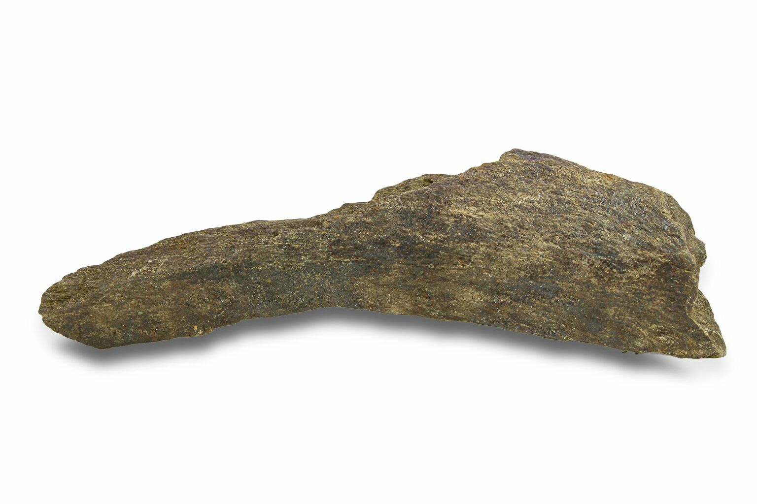 3.8" Dinosaur (Triceratops) Bone Section - Montana (#287495) For Sale ...