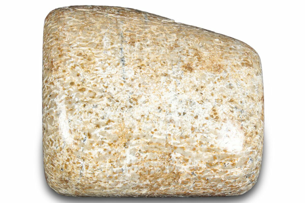 1.6" Polished Dinosaur Bone (Gembone) - Morocco (#287533) For Sale ...