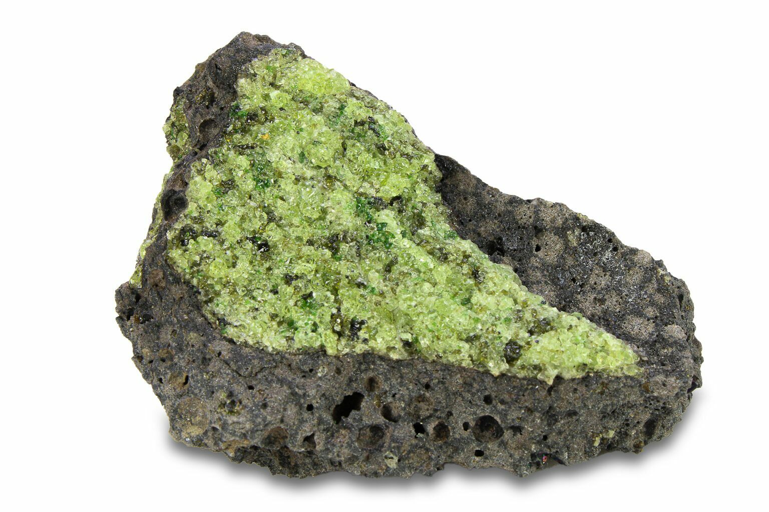 3.2" Peridot in Basalt - Arizona (#288278) For Sale - FossilEra.com