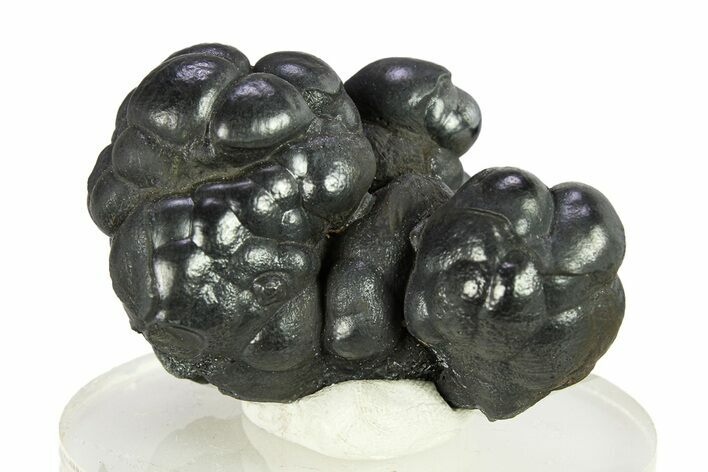 1.85" Botryoidal Goethite Formation - Taouz, Morocco (#292052) For Sale ...