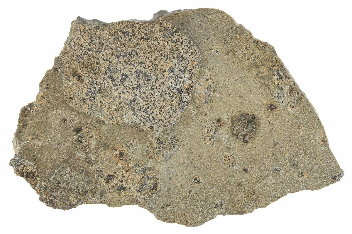 3.85" Eucrite Meteorite Slice (39.9 g) - Jikharra 001 (#296020) For ...