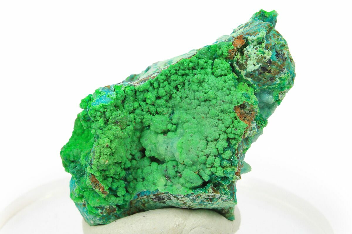1.2" Vibrant Green Conichalcite with Chrysocolla - Namibia (#295918 ...