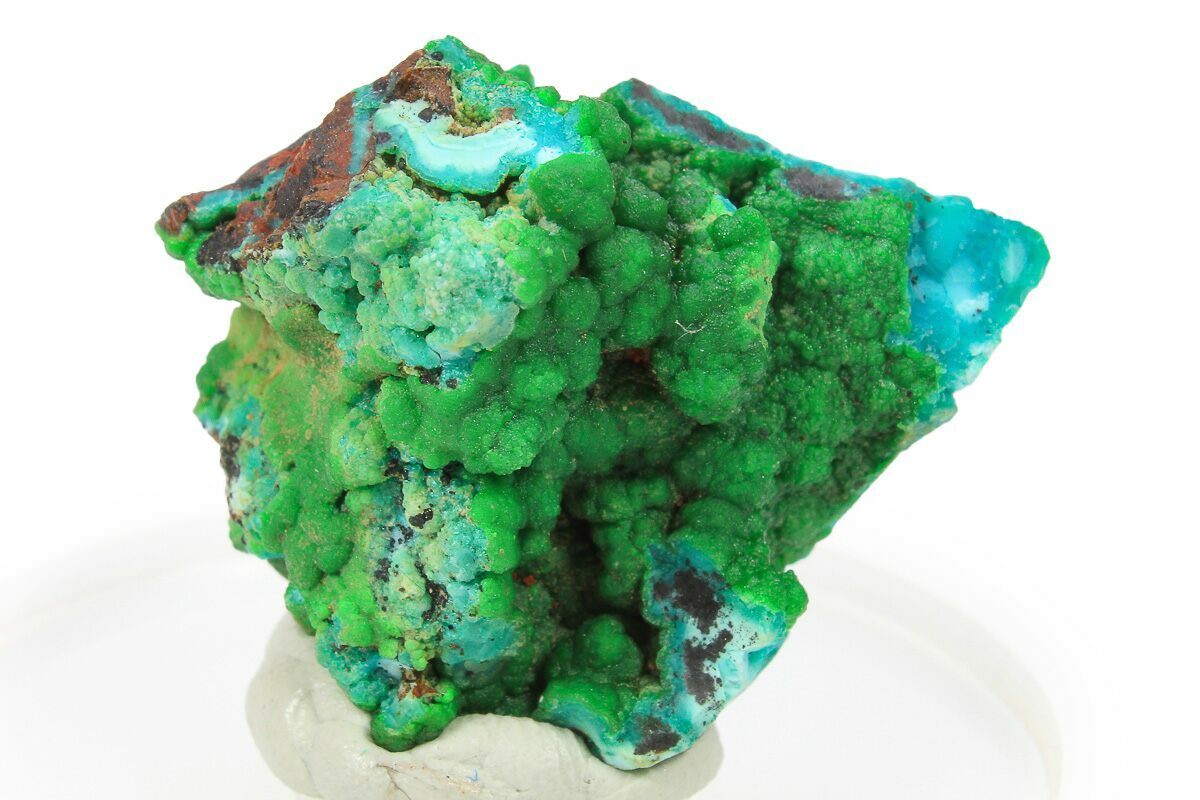 1.1" Vibrant Green Conichalcite with Chrysocolla - Namibia (#295919 ...