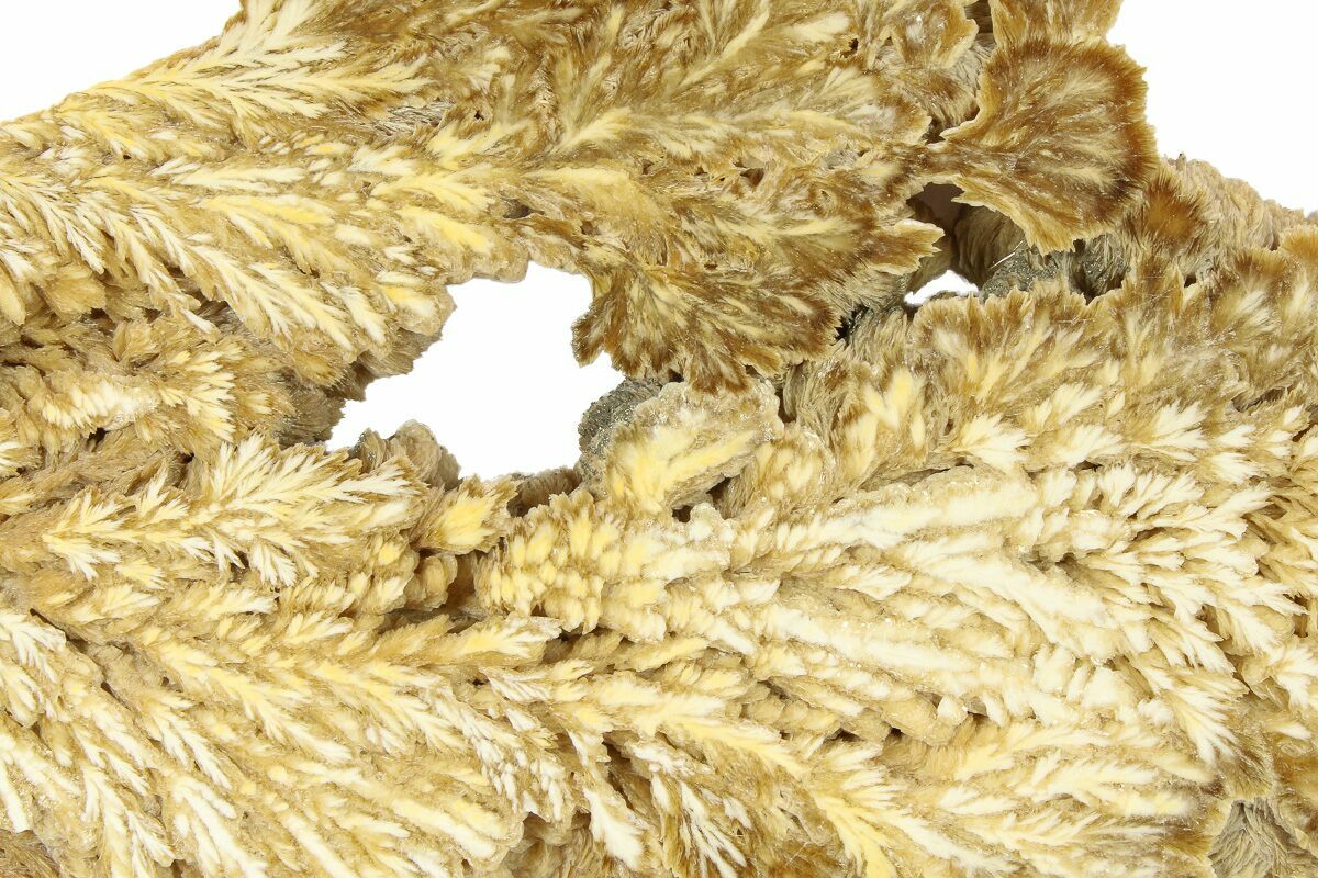 7.1" Polished Barite With Pyrite Slab - Lubin Mine, Poland (#298584 ...