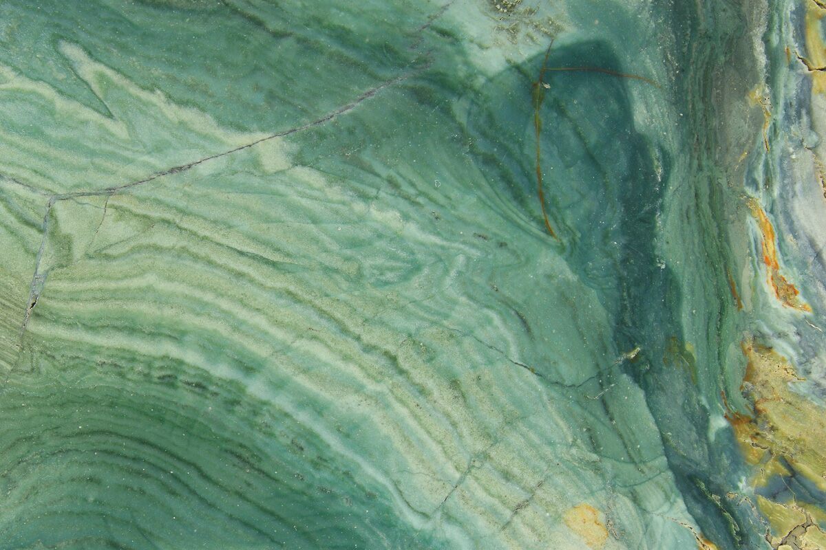 6" Gary Green Jasper (Larsonite) Bog Wood Slab - Oregon (#299302) For ...