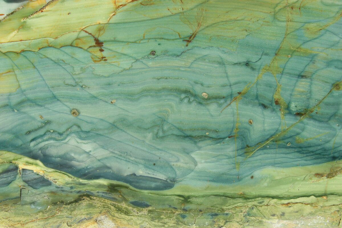 8.2" Gary Green Jasper (Larsonite) Bog Wood Slab - Oregon (#299306) For ...