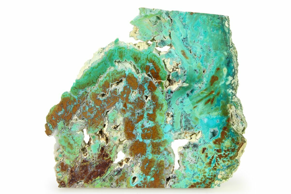 3.75" Petrified "Colla Wood" With Chrysocolla & Malachite - Turkey ...