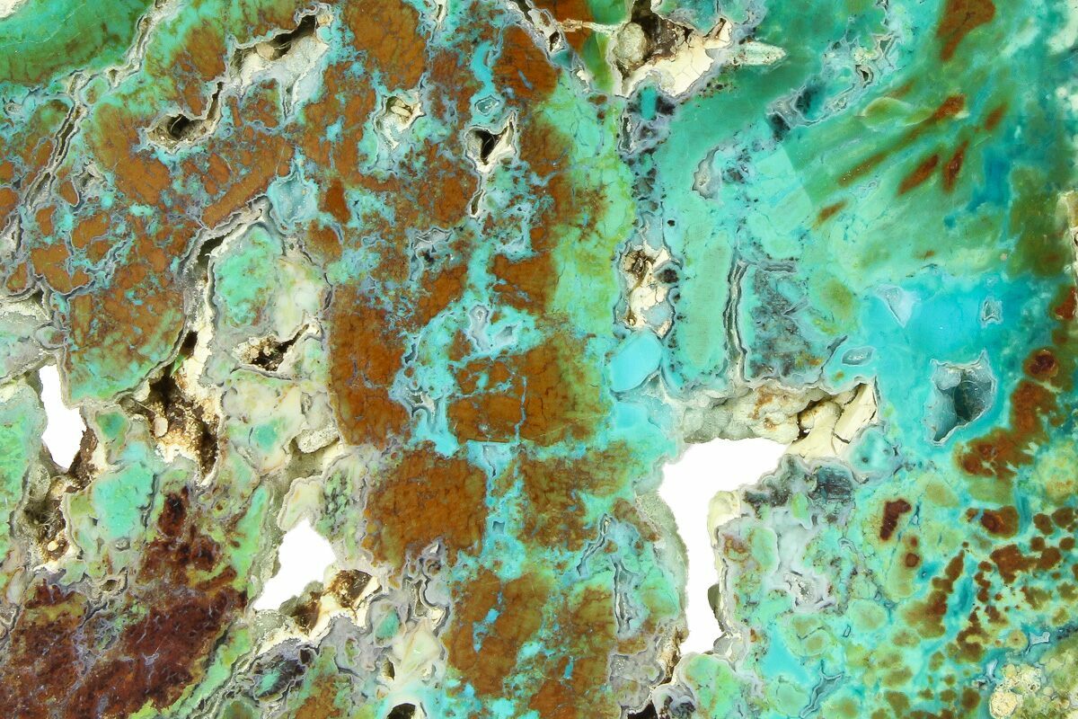 3.75" Petrified "Colla Wood" With Chrysocolla & Malachite - Turkey ...