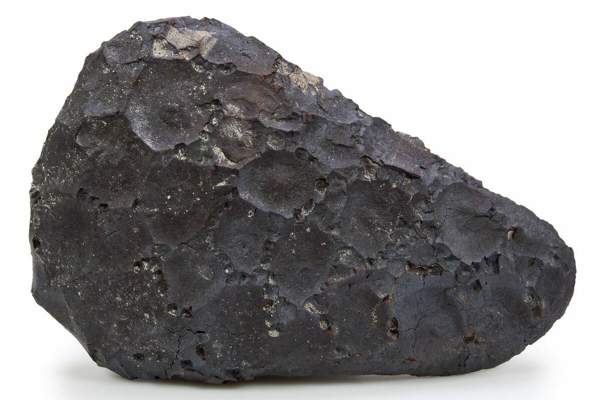 5.7" Dragon Scale Stone (Iron, Manganese, Siderite Nodule) (#302317 ...