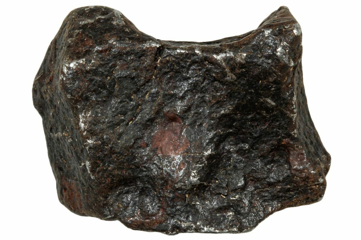 1" Canyon Diablo Iron Meteorite (16.9 g) - Arizona (#303534) For Sale ...