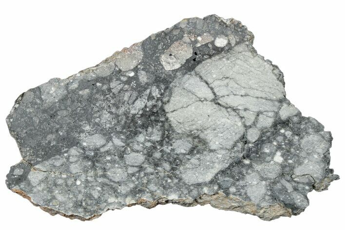 2.72" Gadamis 004 "Apollo" Lunar Meteorite (15.51 g) Slice (#304305 ...
