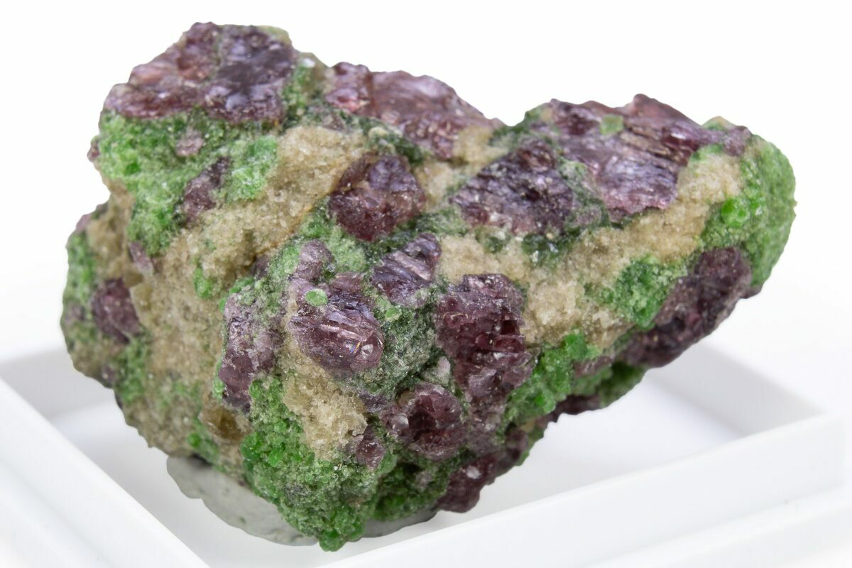 1.6" Pyrope, Enstatite, Diopside & Omphacite Association - Norway ...