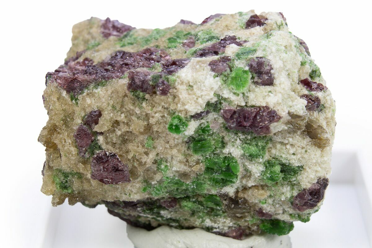 1.3" Pyrope, Enstatite, Diopside & Omphacite Association - Norway ...