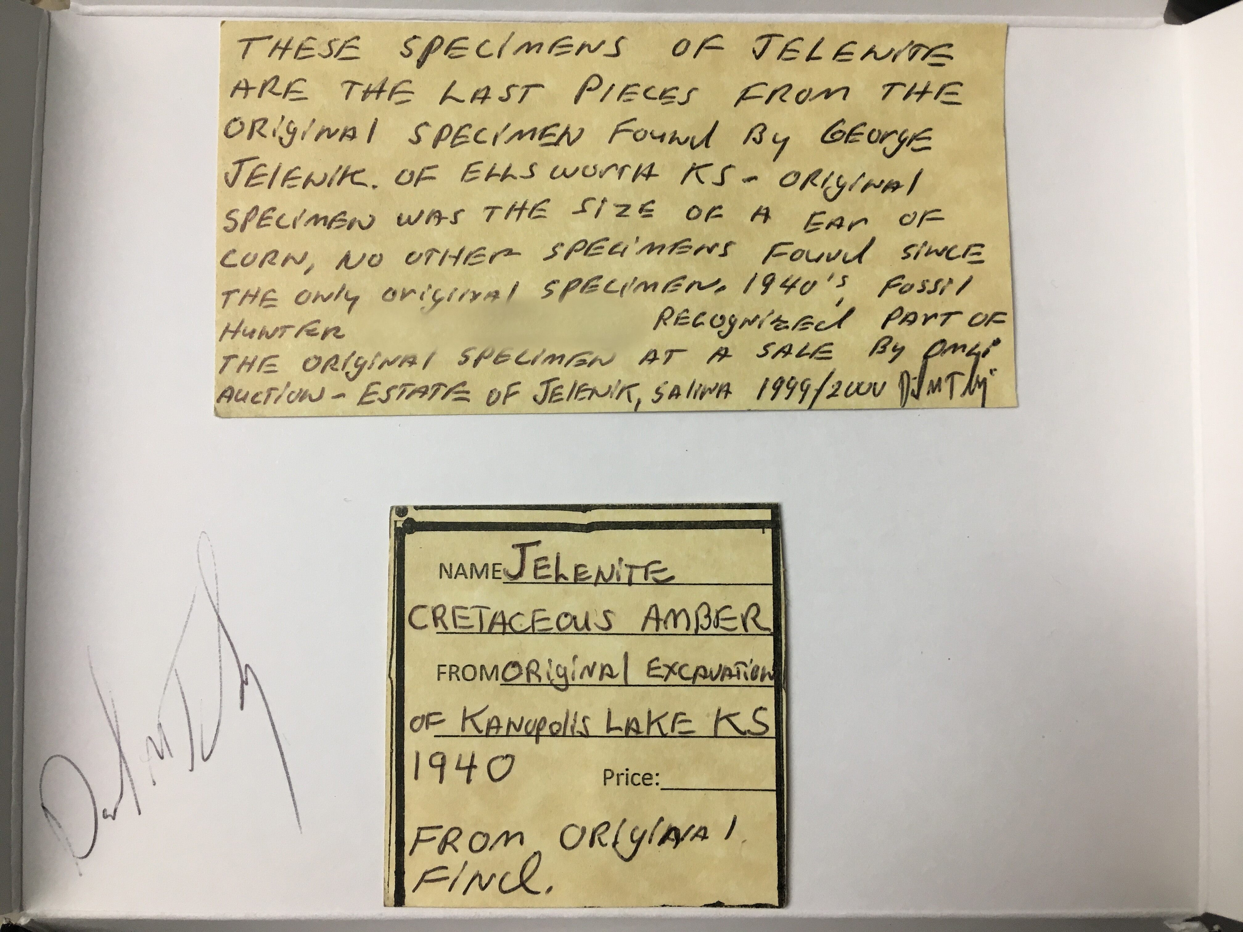 .42" Kansas Amber (Jelinite) Specimen - George Jelinek Collection ...